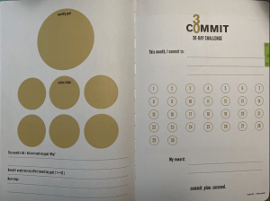 Commit 30 Planner Review – Grounding Fitness